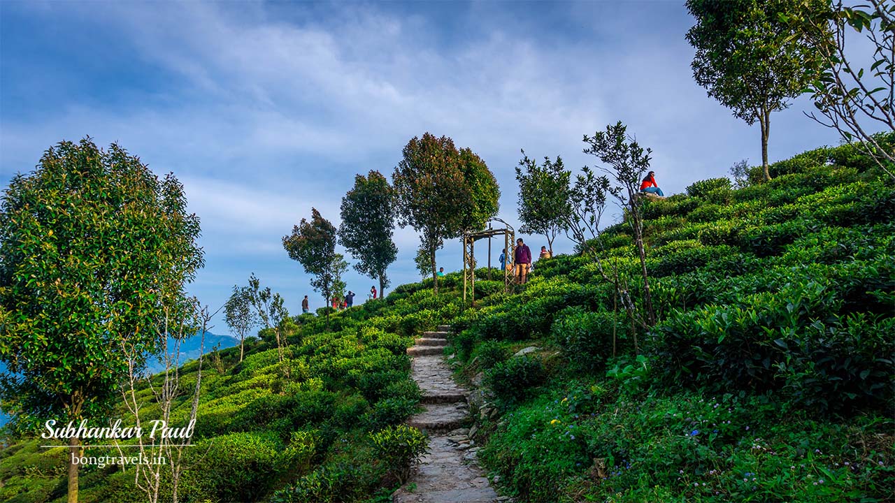 Sittong, Orange Village of Darjeeling - bong travels