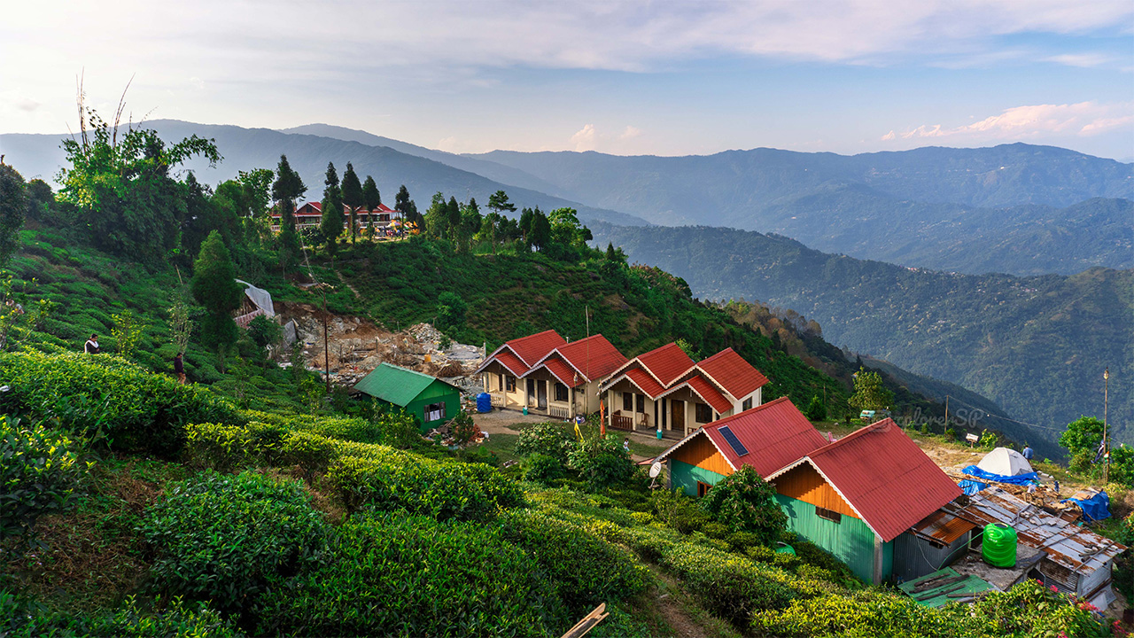 Sittong, Orange Village of Darjeeling - bong travels
